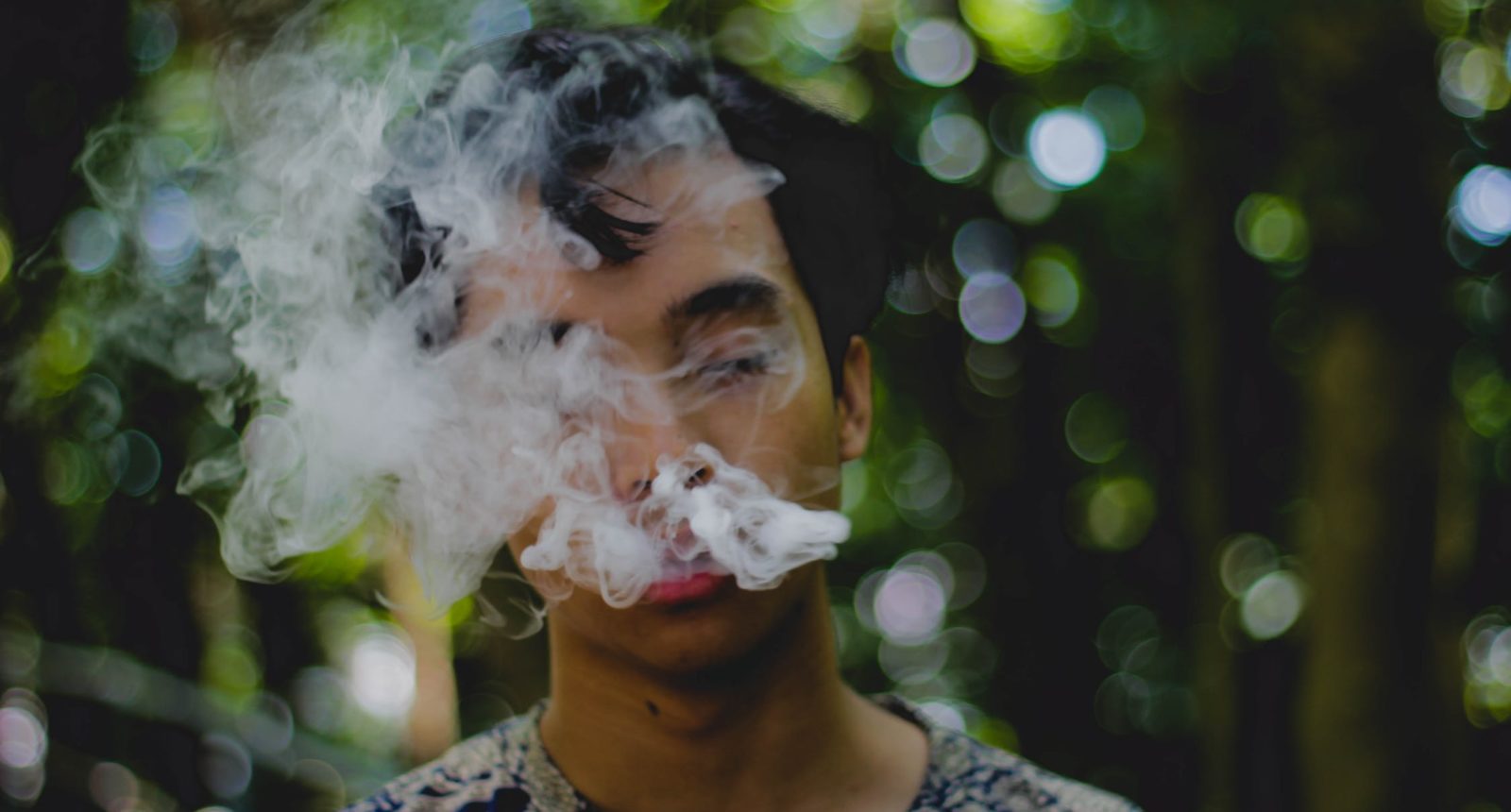 Hanf Infografik - alles was Du wissen musst — HANF.biz